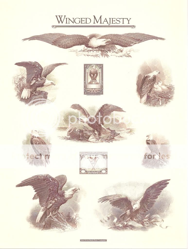 Flying Eagle Tattoo | Coin Talk