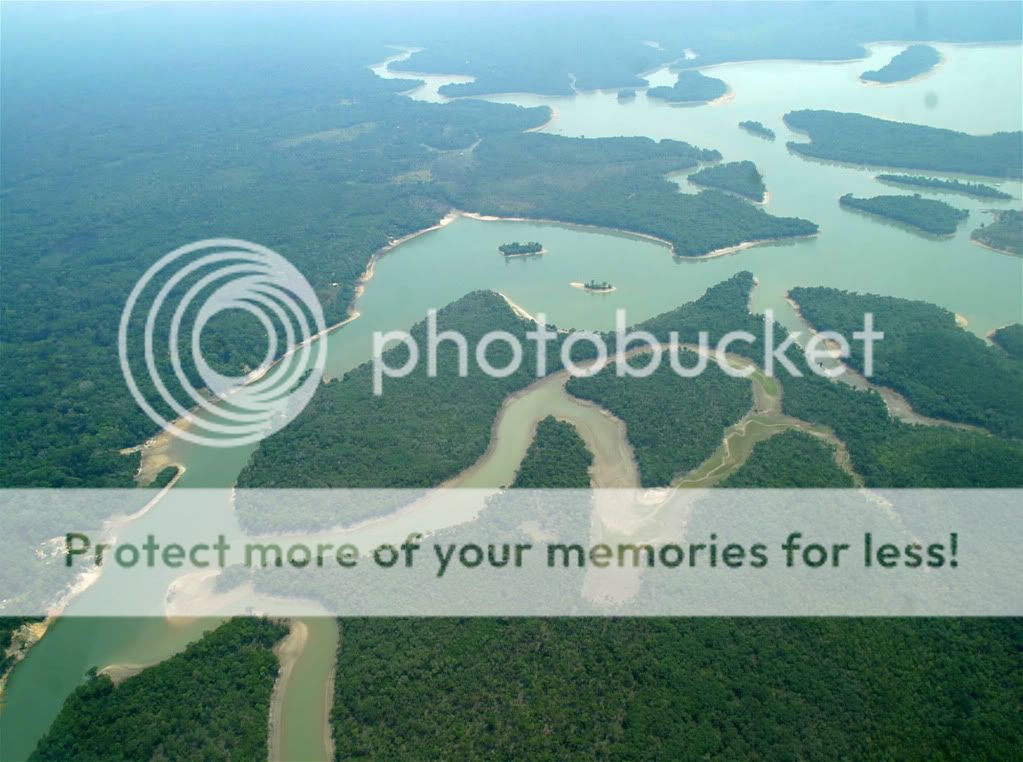 Brazil - a land of biodiversity - One photo per post | Page 4 ...